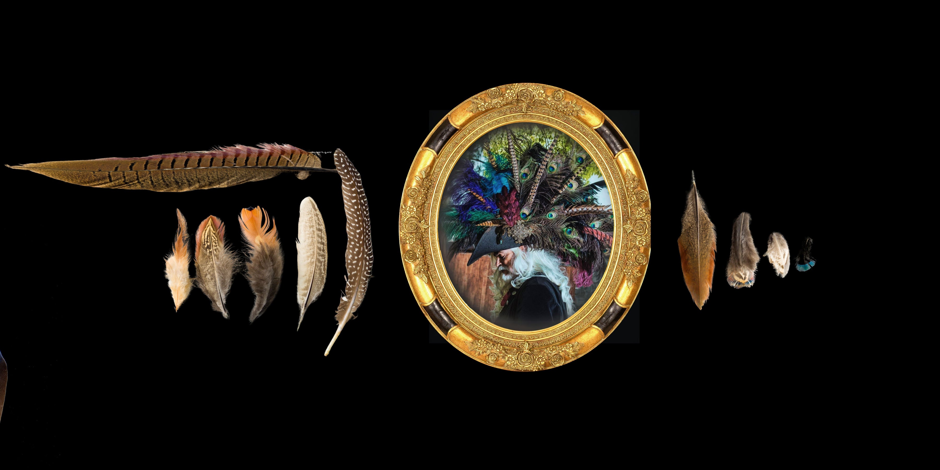 Feather Magic: A Spiritual Guide to Finding, Collecting, and Working w ...