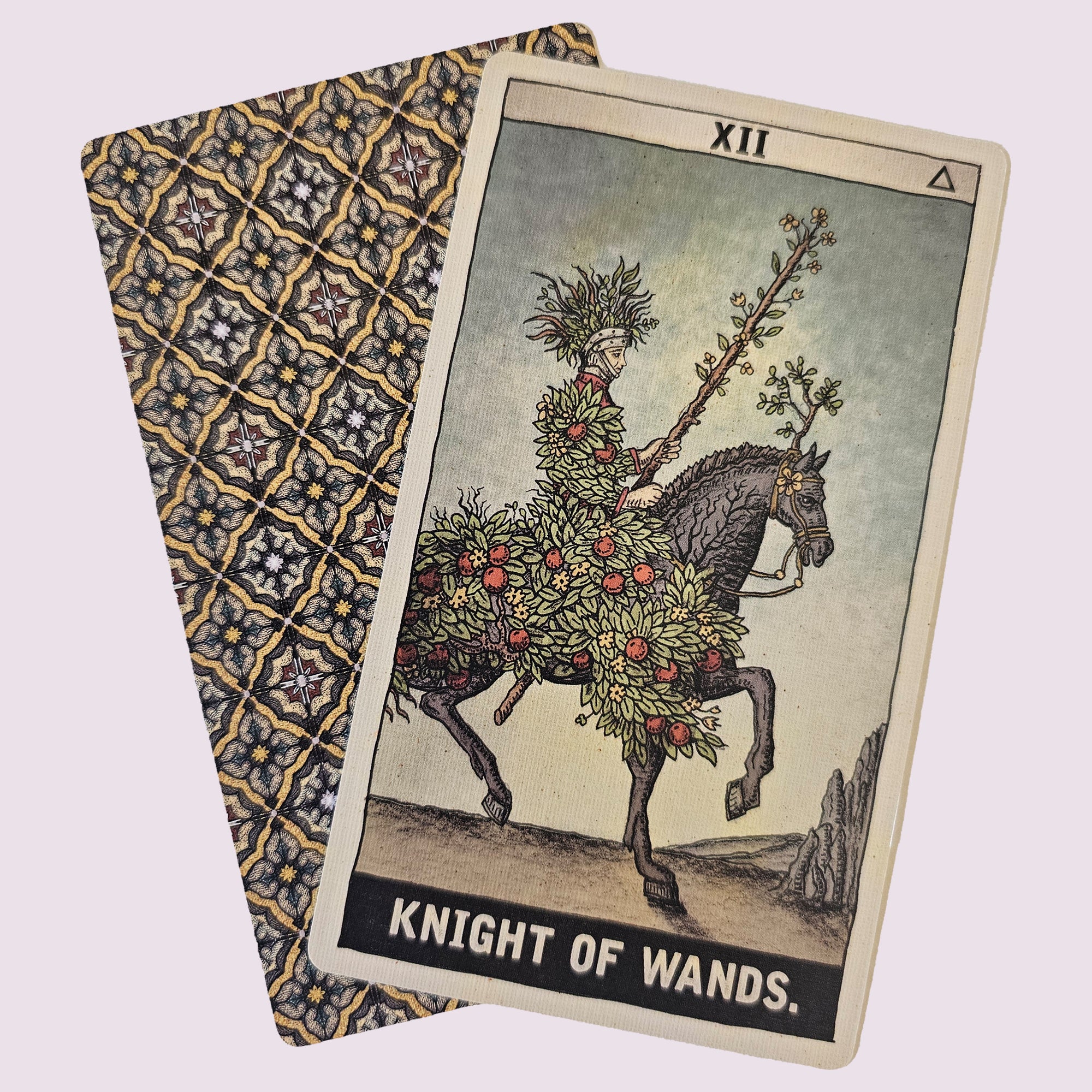 earth-magick-tarot-deck-by-daniel-martin-diaz — TarotArts