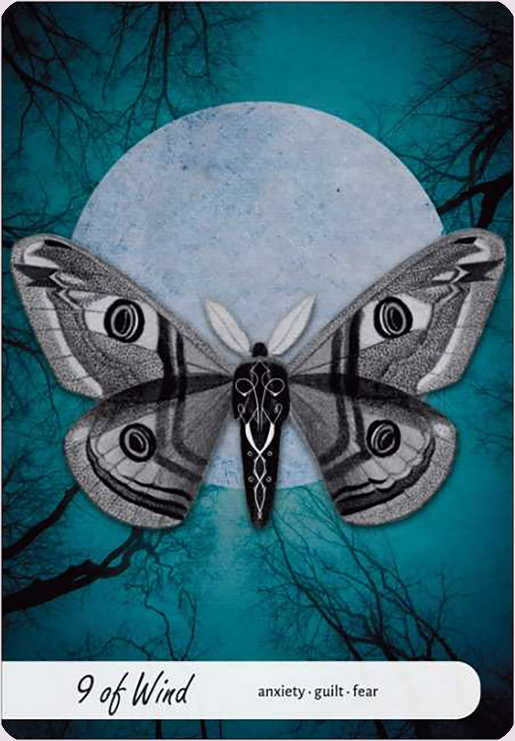 Wise Earth Medicine cards — TarotArts