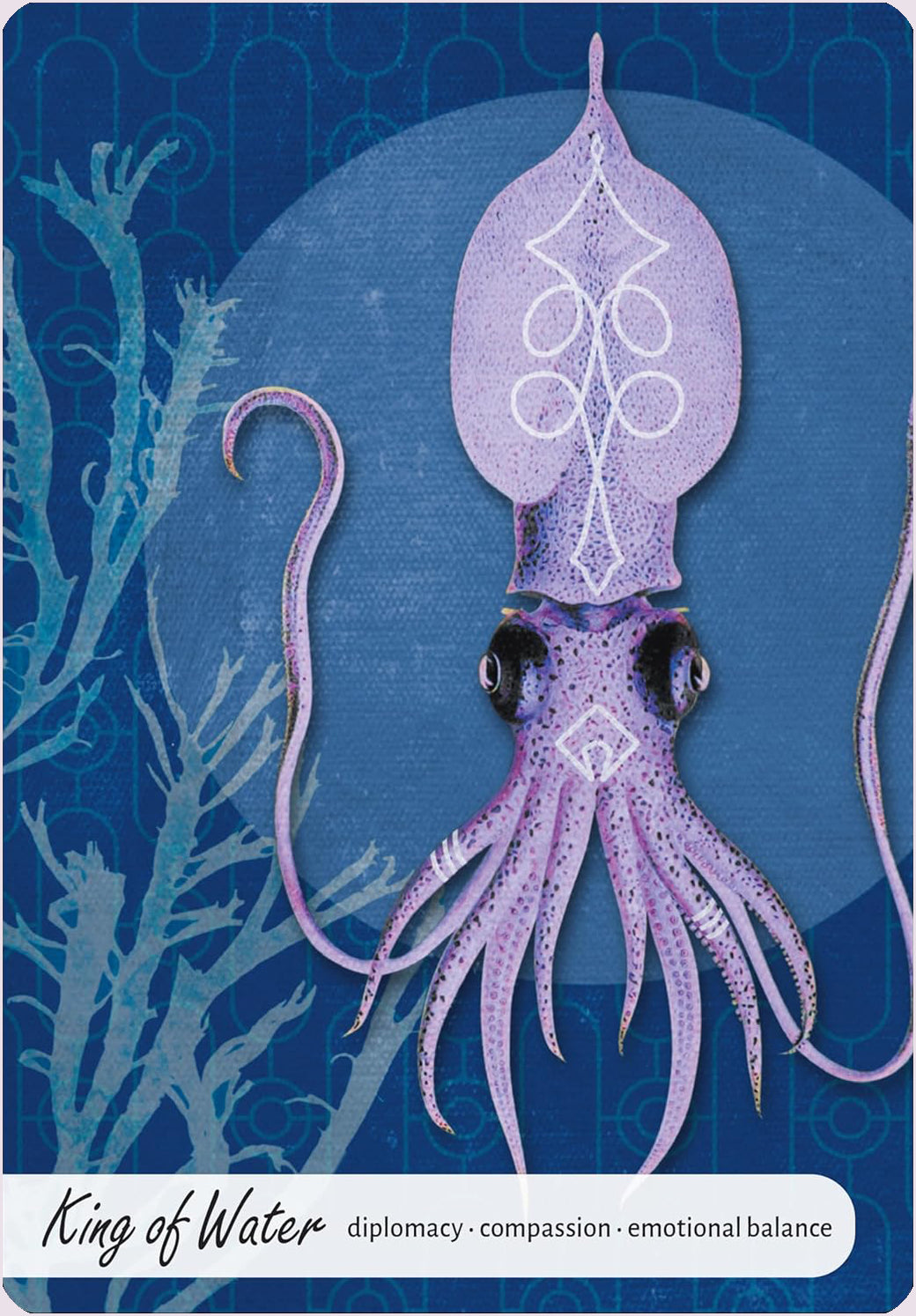 Wise Earth Medicine cards — TarotArts