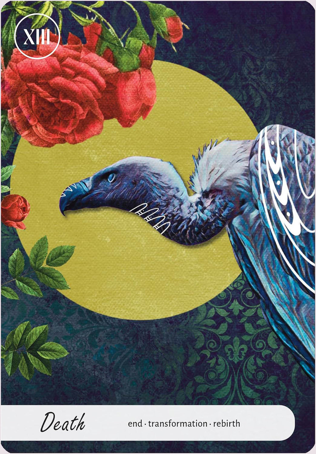 Wise Earth Medicine cards — TarotArts