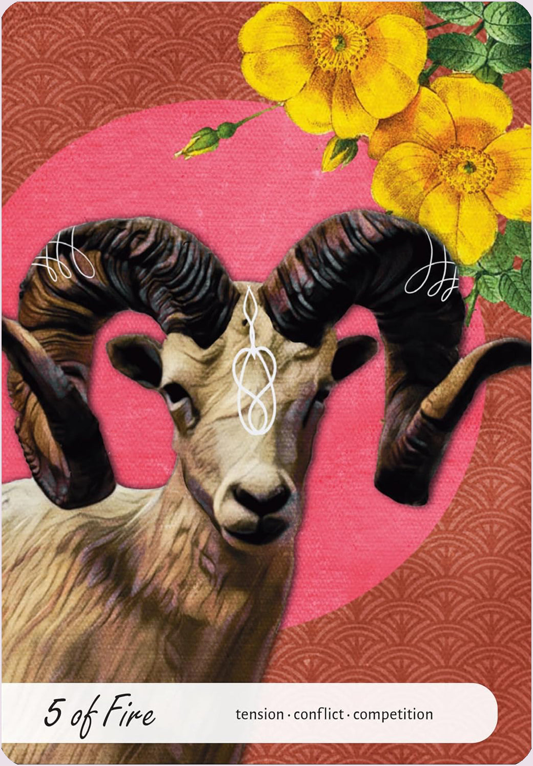 Wise Earth Medicine cards — TarotArts