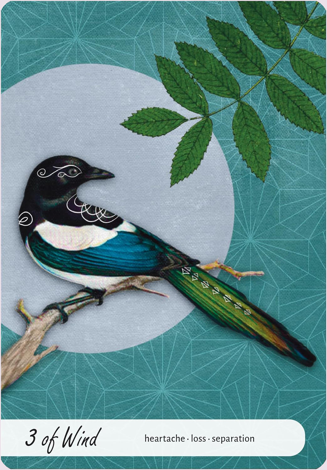 Wise Earth Medicine cards — TarotArts