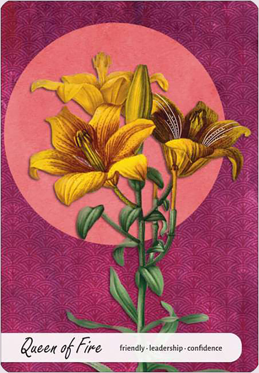 Wise Earth Medicine cards — TarotArts