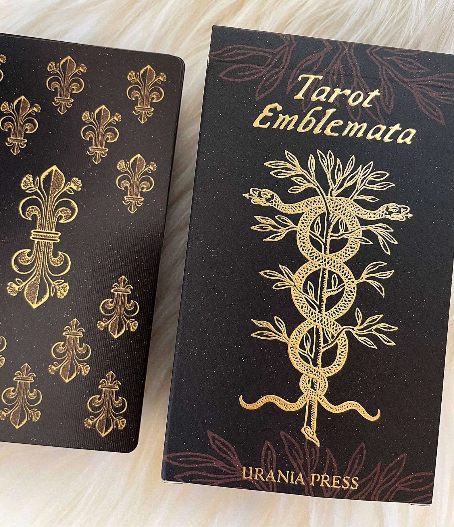 Tarot Emblemata An 88 card Tarot of Renaissance Emblems — TarotArts