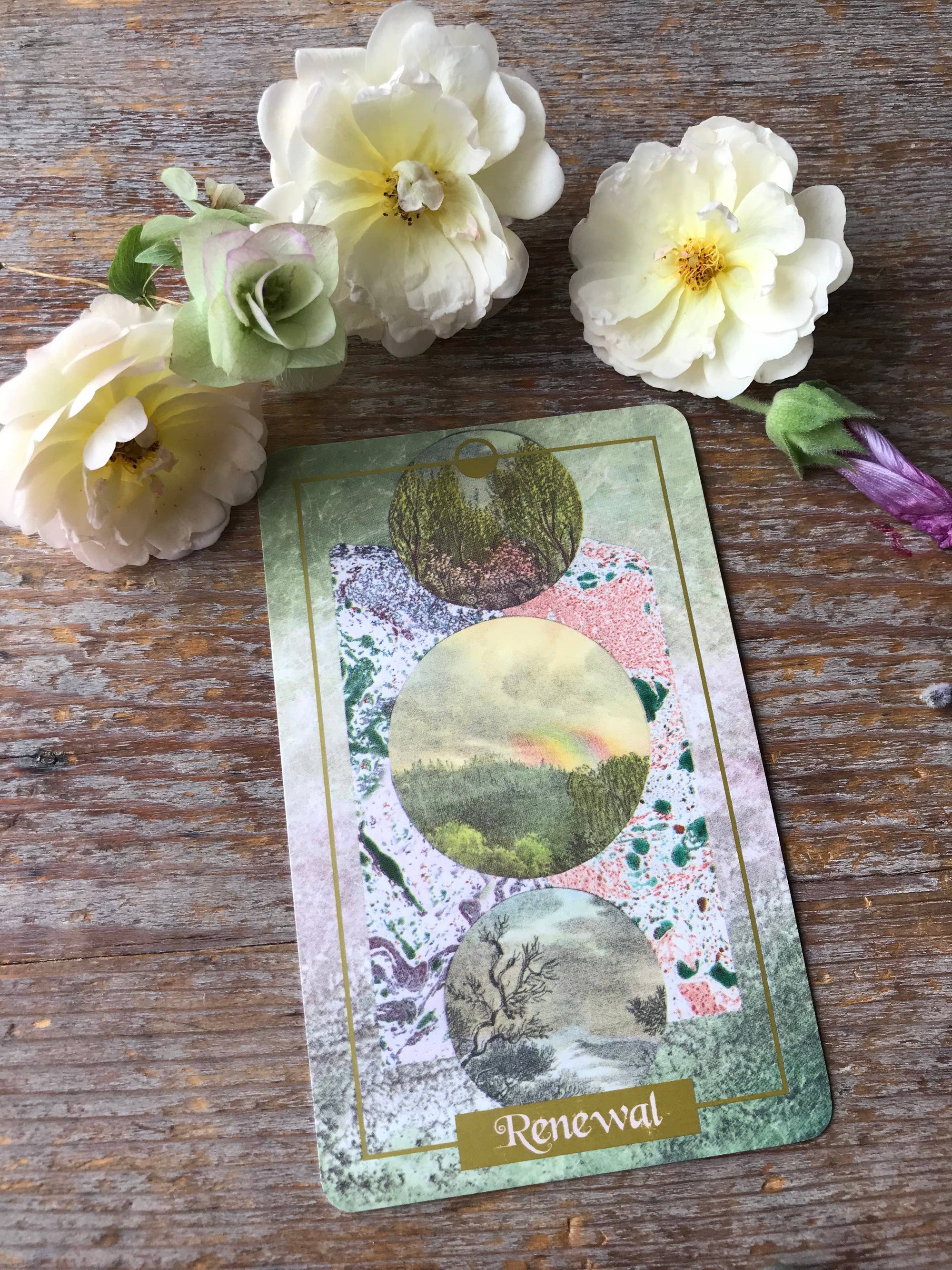 The Illuminated Earth Oracle Deck — TarotArts