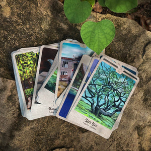 The Southern Gothic Oracle — TarotArts