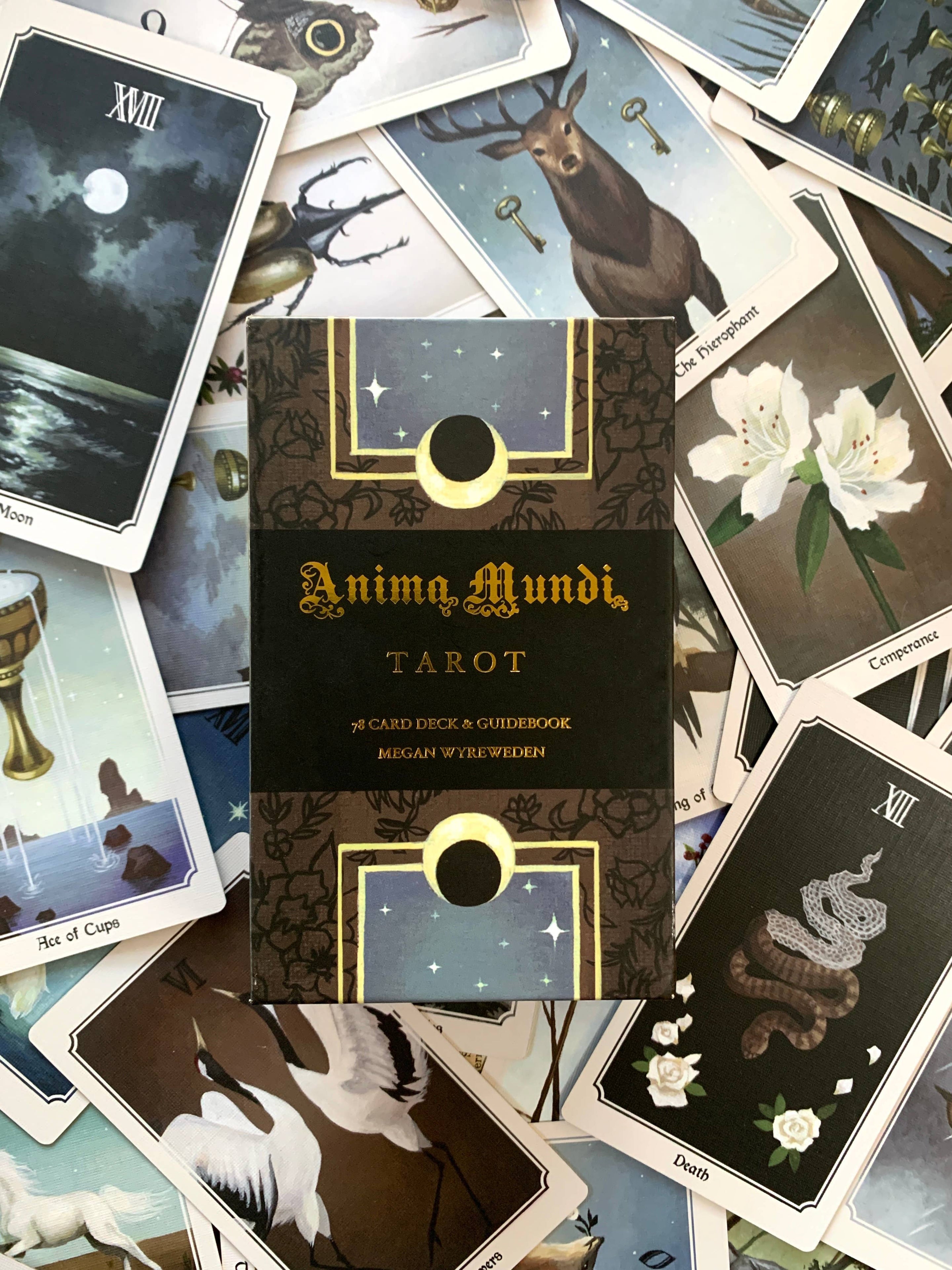 Anima Mundi tarot — TarotArts
