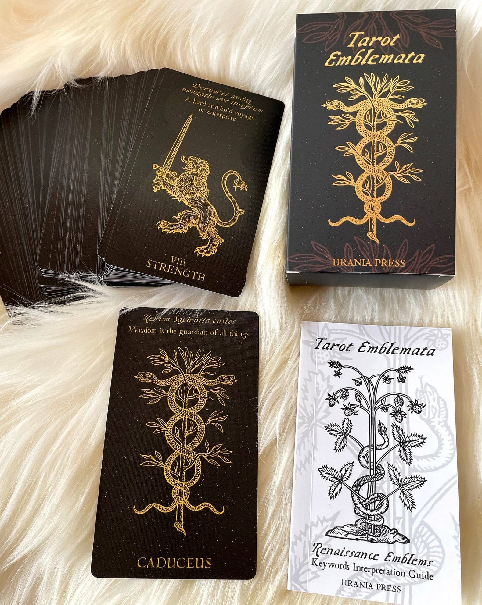 Tarot Emblemata An 88 card Tarot of Renaissance Emblems — TarotArts