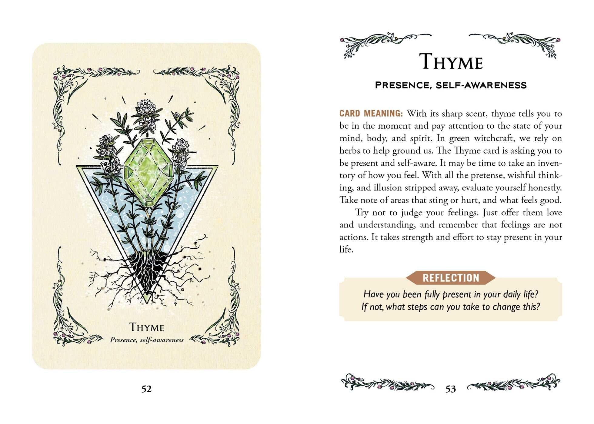 The Green Witch's Oracle Deck — TarotArts