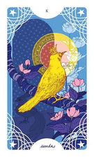 Star Spinner Tarot — TarotArts