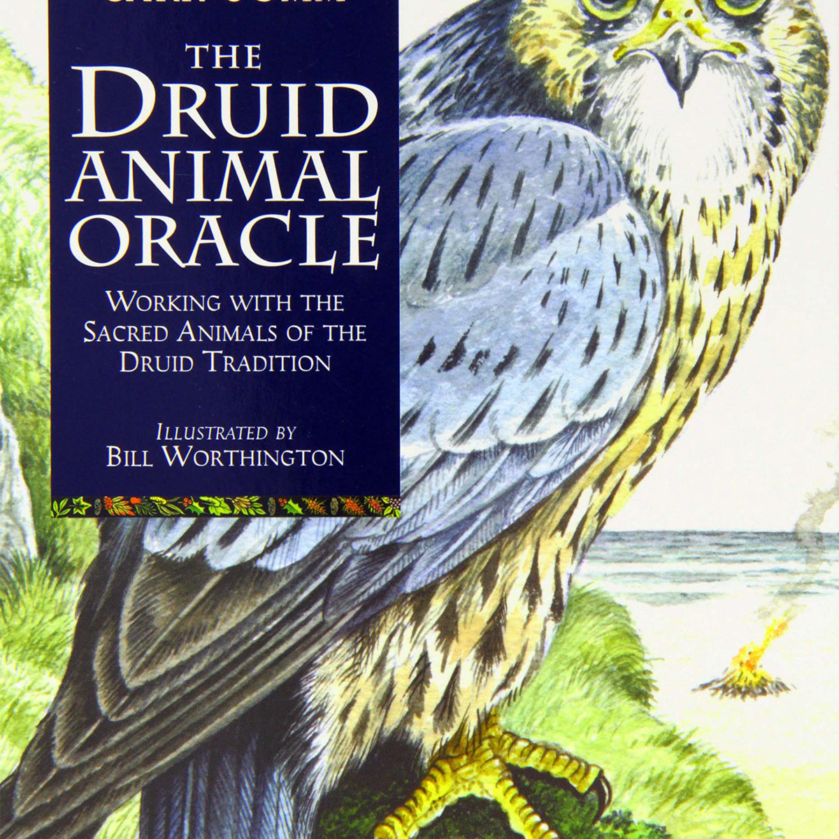 Druid Animal Oracle Deck — TarotArts