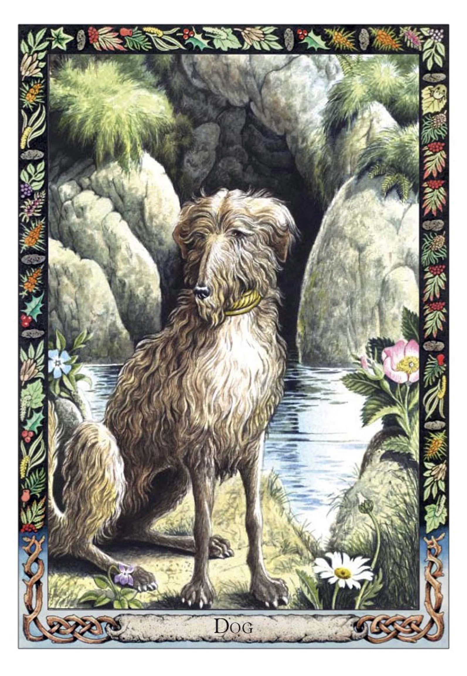 Druid Animal Oracle Deck — TarotArts